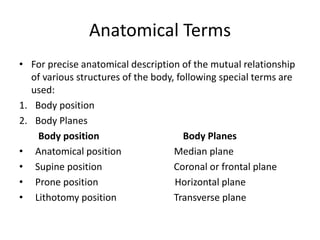 anatomy and histology | PPTX