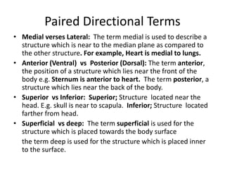 anatomy and histology | PPTX