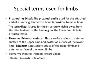 anatomy and histology | PPTX