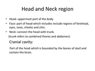 anatomy and histology | PPTX