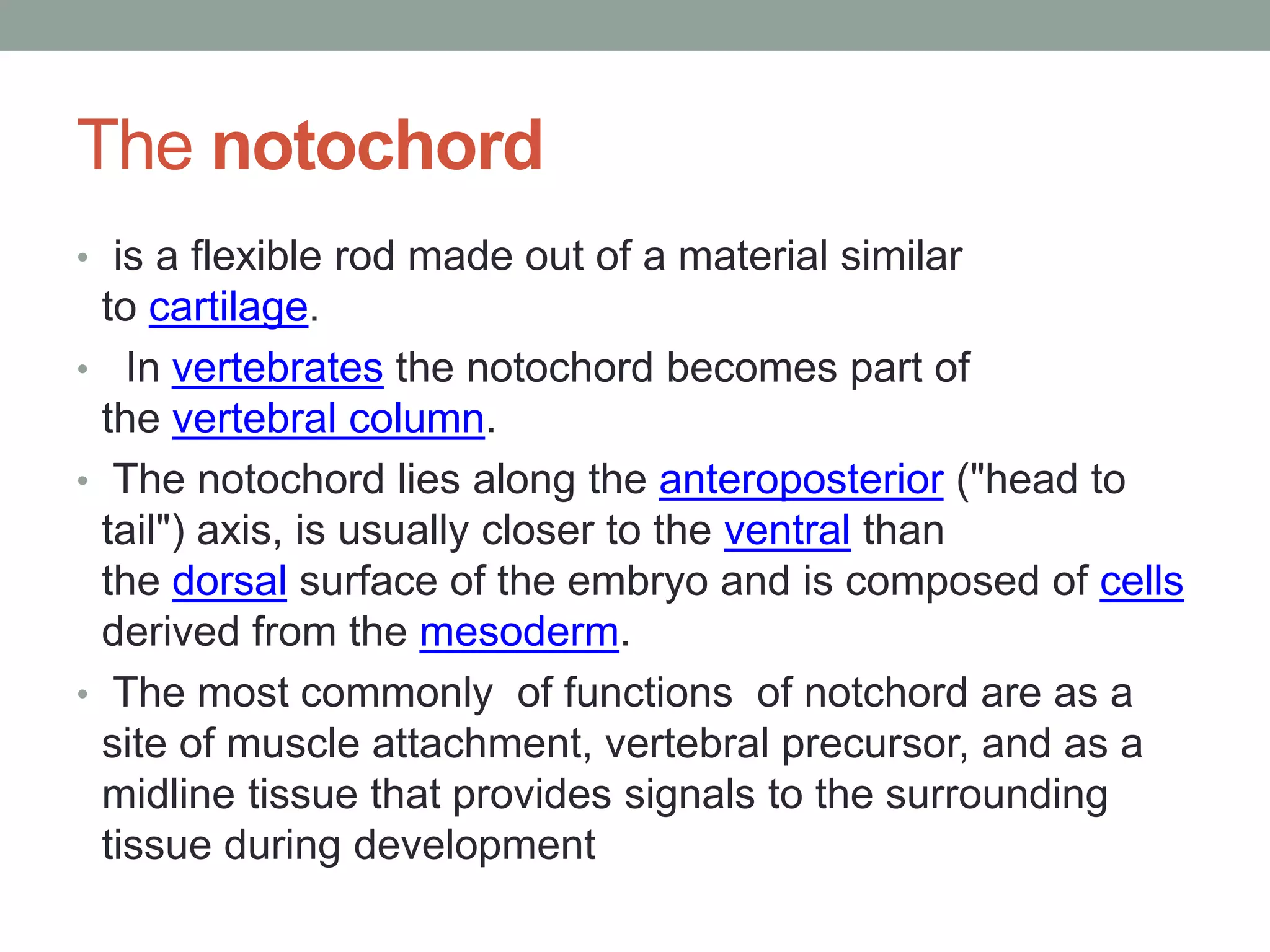 embryology of head region | PPTX