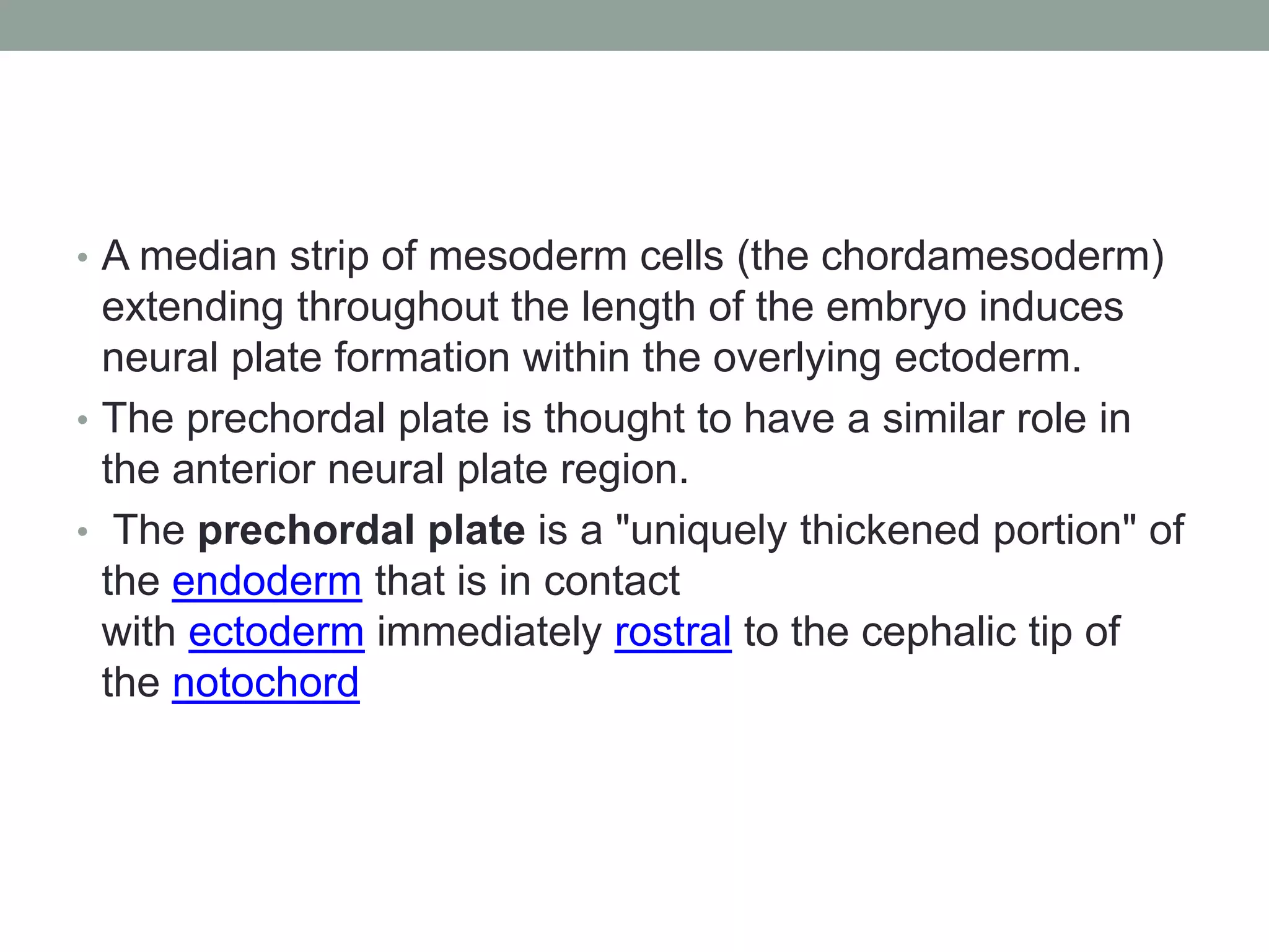 embryology of head region | PPTX