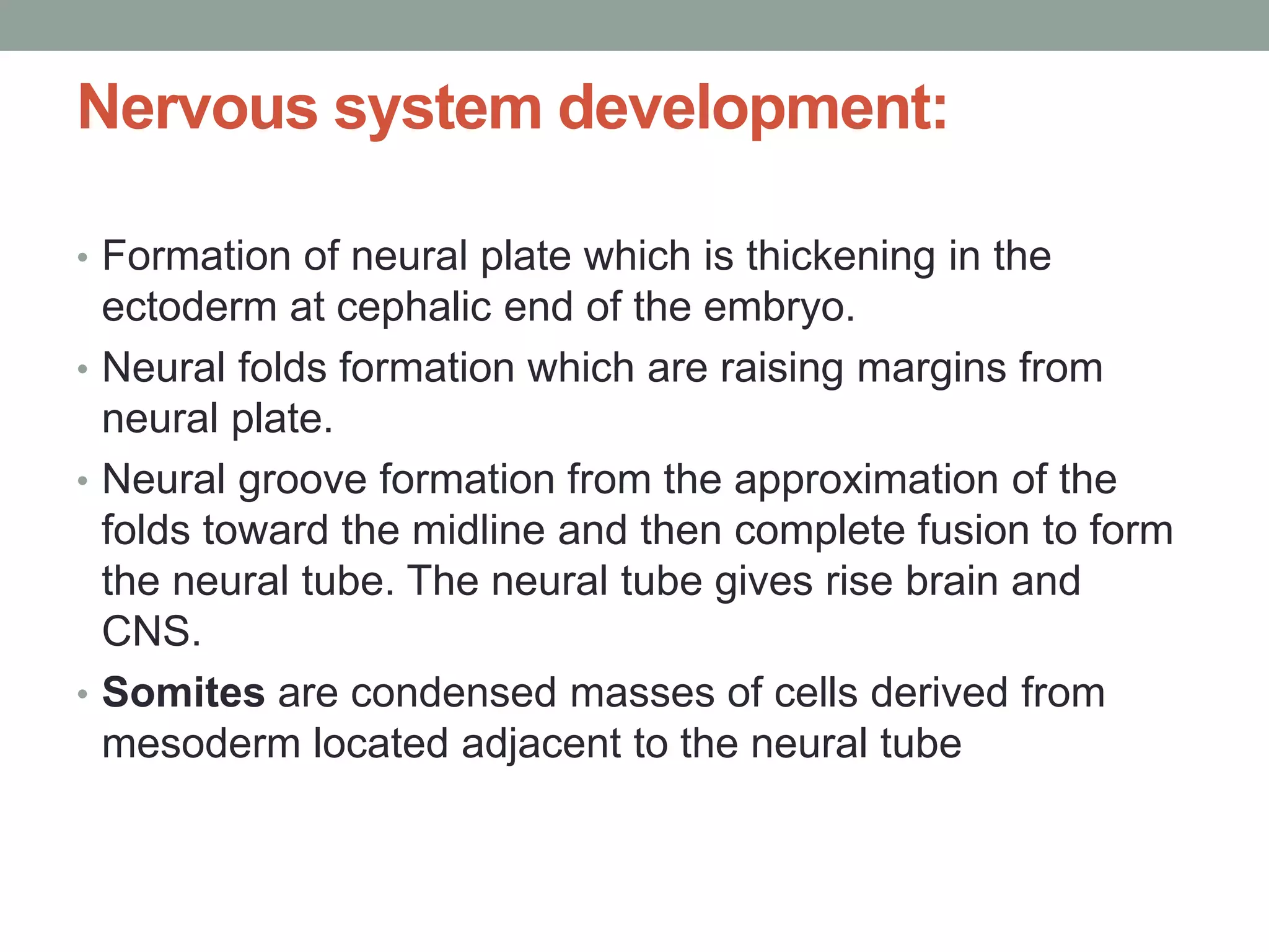 embryology of head region | PPTX