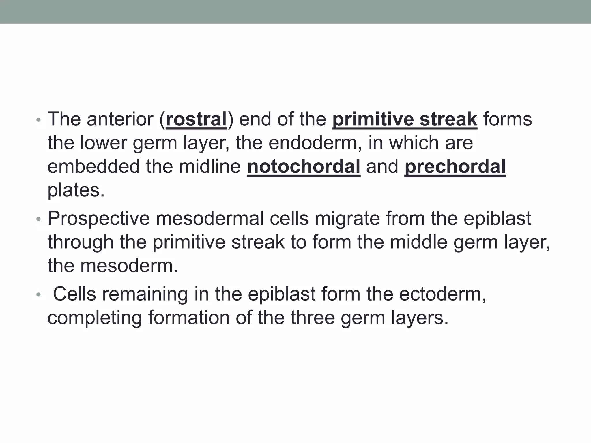 embryology of head region | PPTX
