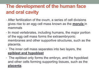 embryology of head region | PPTX