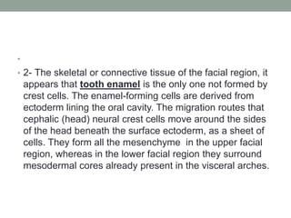 embryology of head region | PPTX