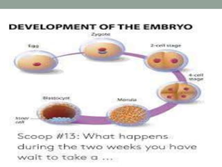 embryology of head region | PPTX