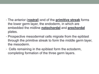embryology of head region | PPTX