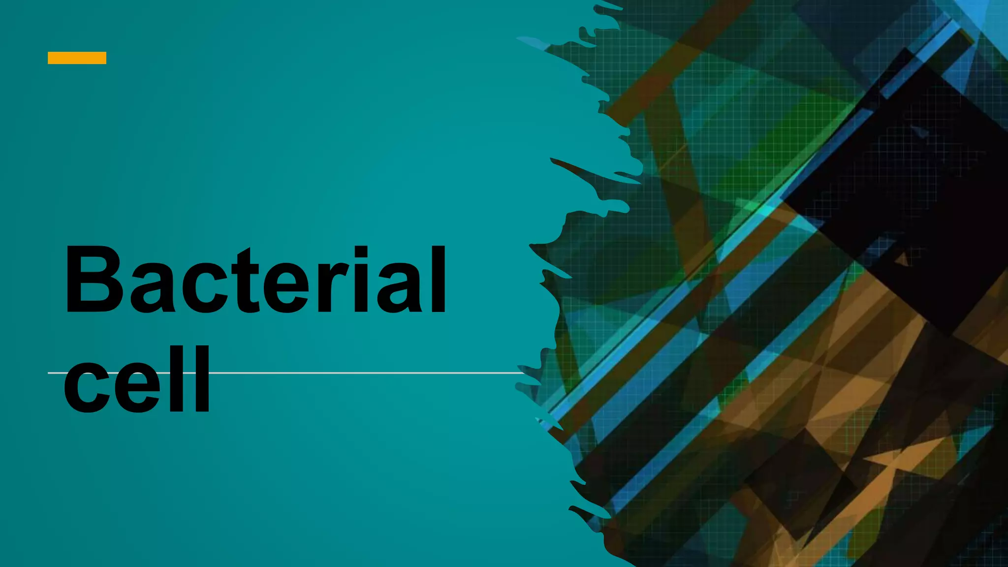 cell biology, cell theory, bacterial cell | PPT