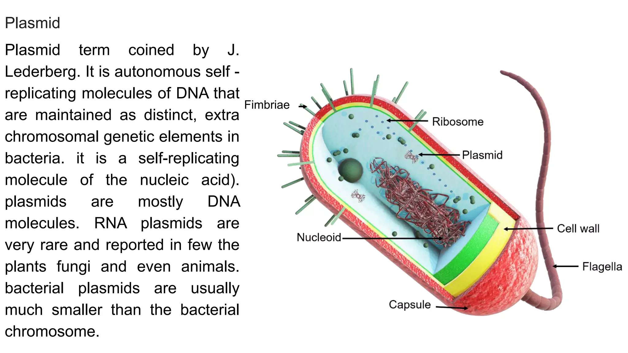 cell biology, cell theory, bacterial cell | PPT