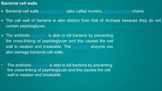 cell biology, cell theory, bacterial cell | PPT