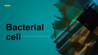 cell biology, cell theory, bacterial cell | PPT