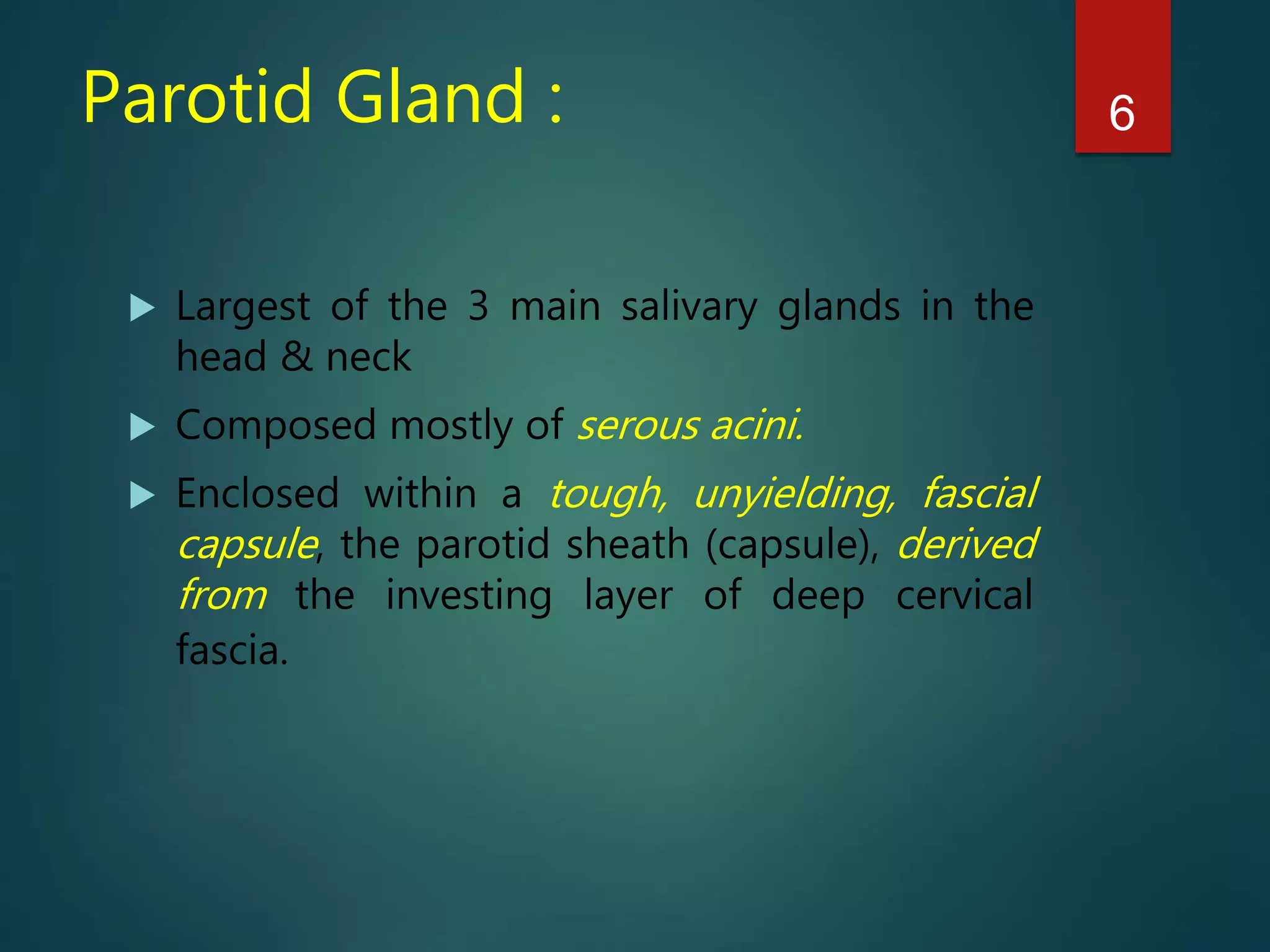 lec 1.Parotid region & temporal fossa.pptx