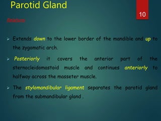 lec 1.Parotid region & temporal fossa.pptx