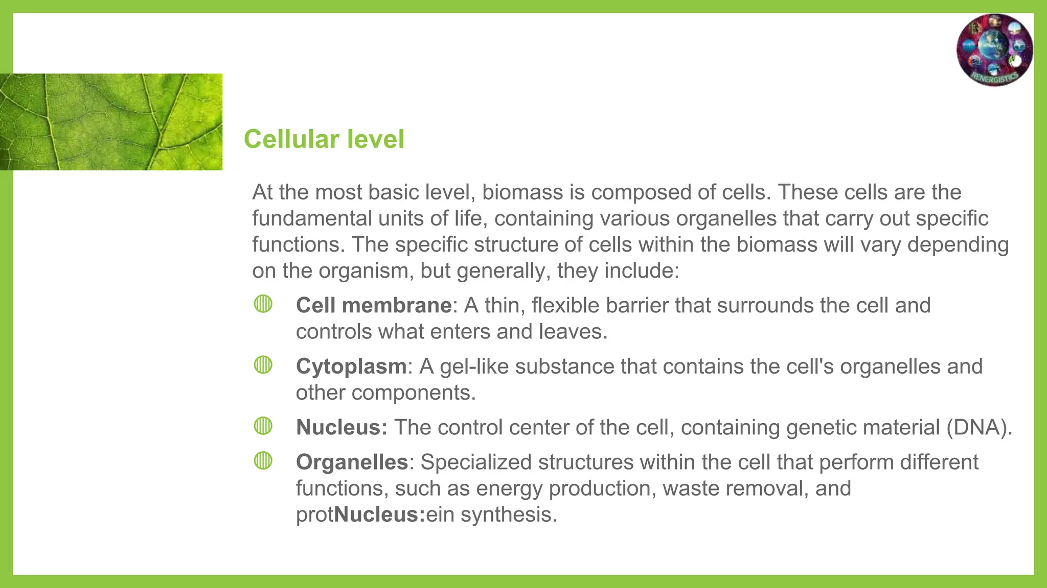 Biomass source-classification and properties | PPTX