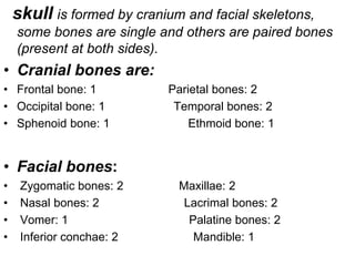 anatomy of head and neck region lecture one.ppt