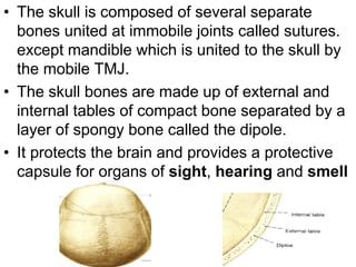 anatomy of head and neck region lecture one.ppt