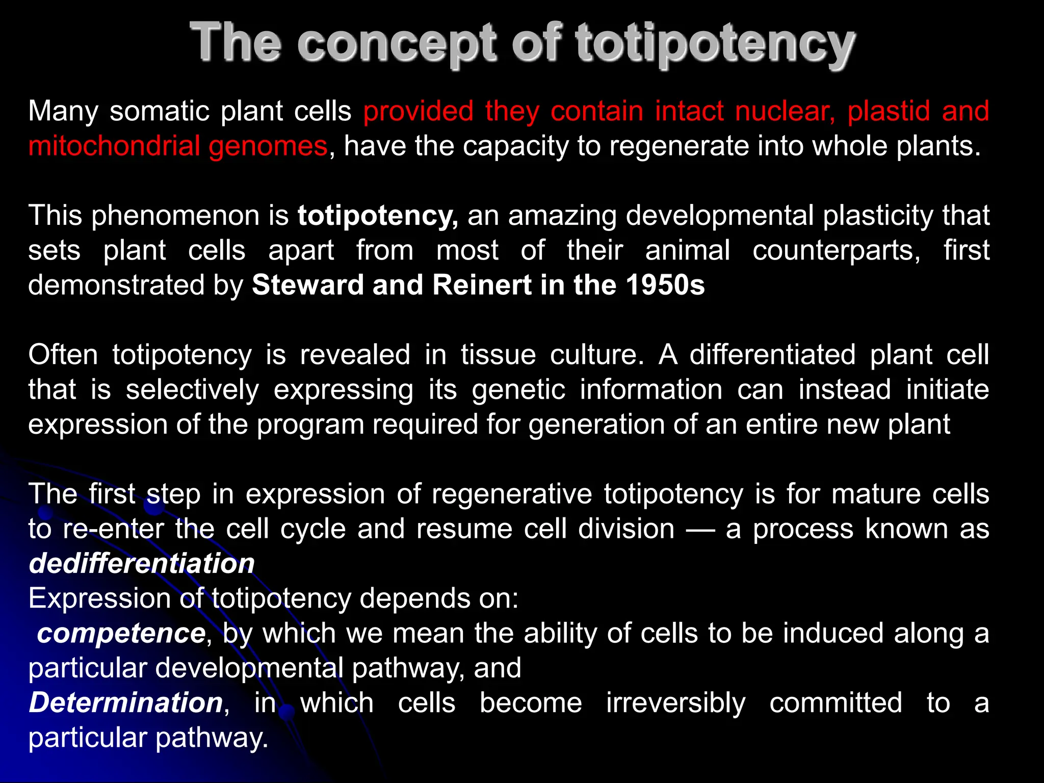Lec 1.b Totipotency and birth of tissue culture.ppt