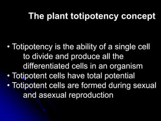 Lec 1.b Totipotency and birth of tissue culture.ppt