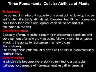 Lec 1.b Totipotency and birth of tissue culture.ppt