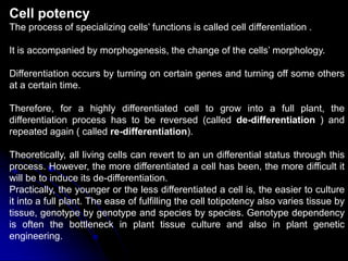 Lec 1.b Totipotency and birth of tissue culture.ppt