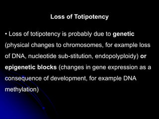 Lec 1.b Totipotency and birth of tissue culture.ppt