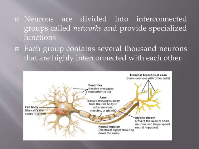 Artificial intelligence Neural Network lec1.pptx