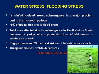 Response of Plants to Various Abiotic Stressess | PPT