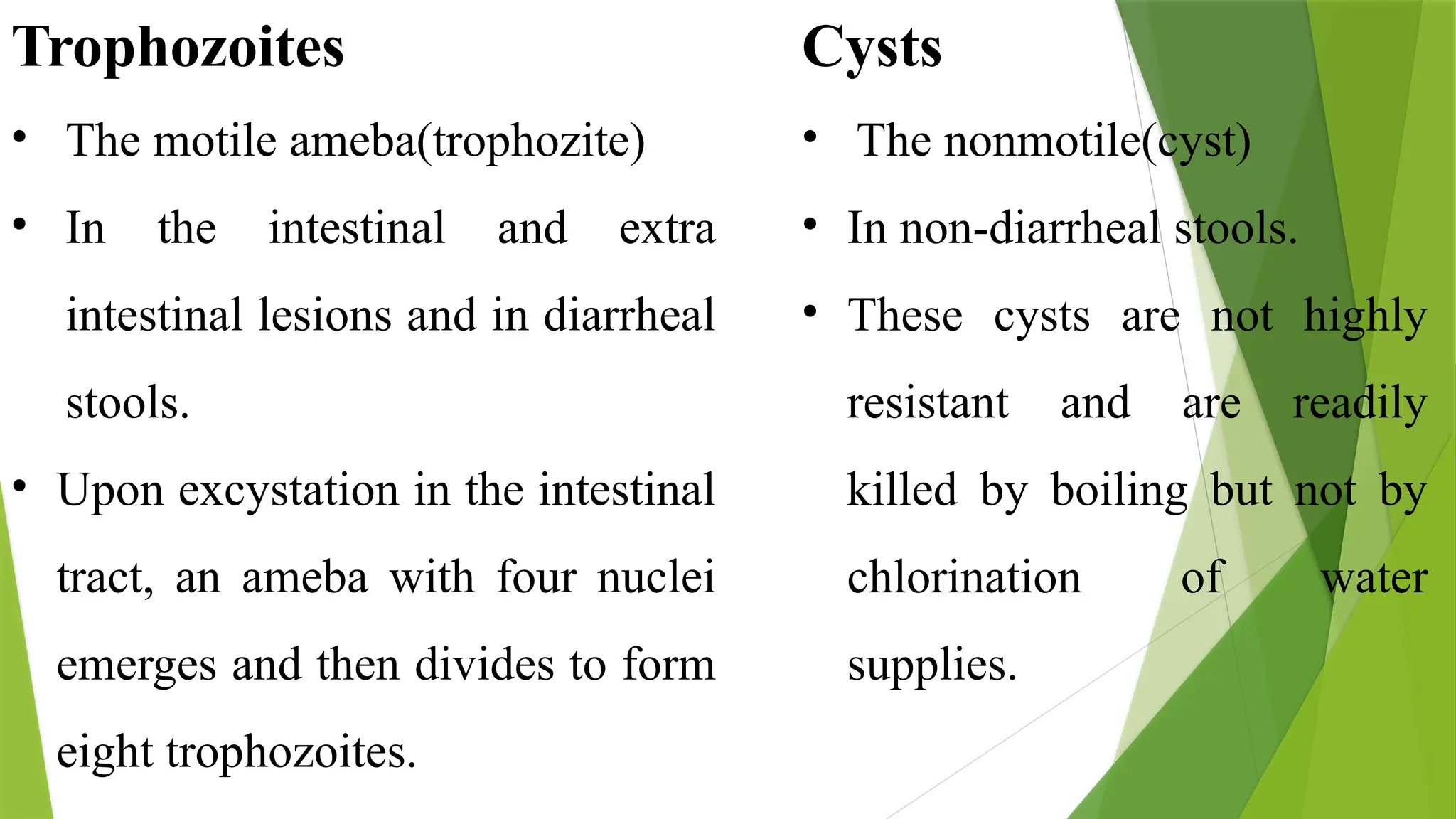 Parasitology. info about parasites and | PPTX