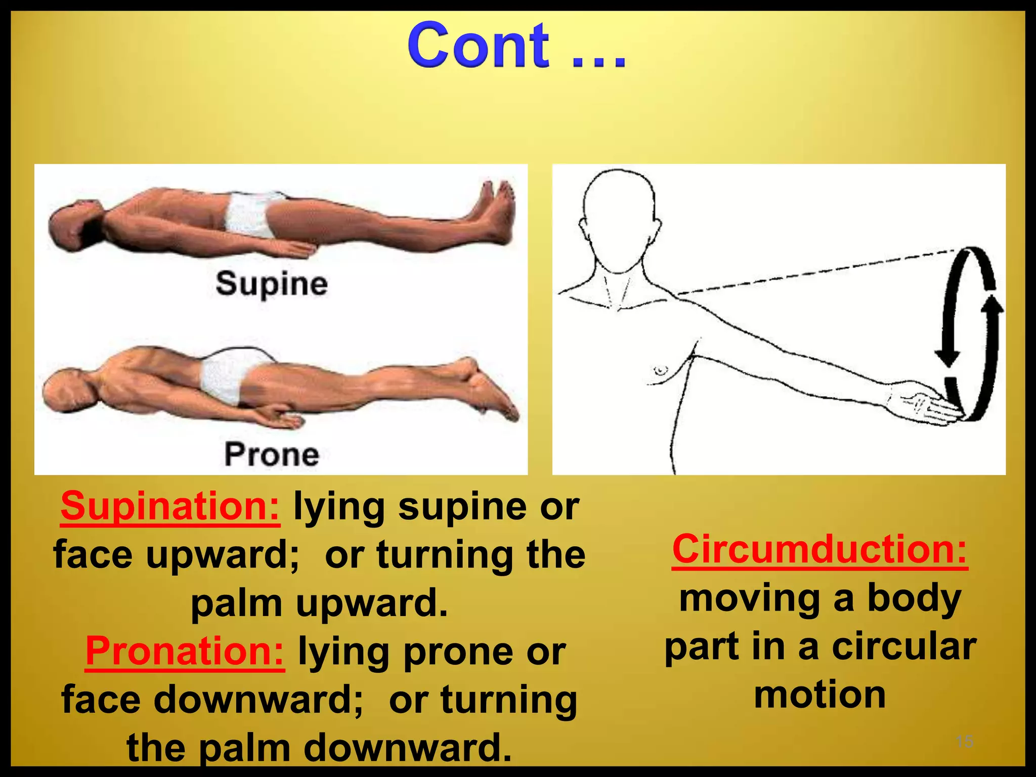 Anatomy of skeletal system.ppt