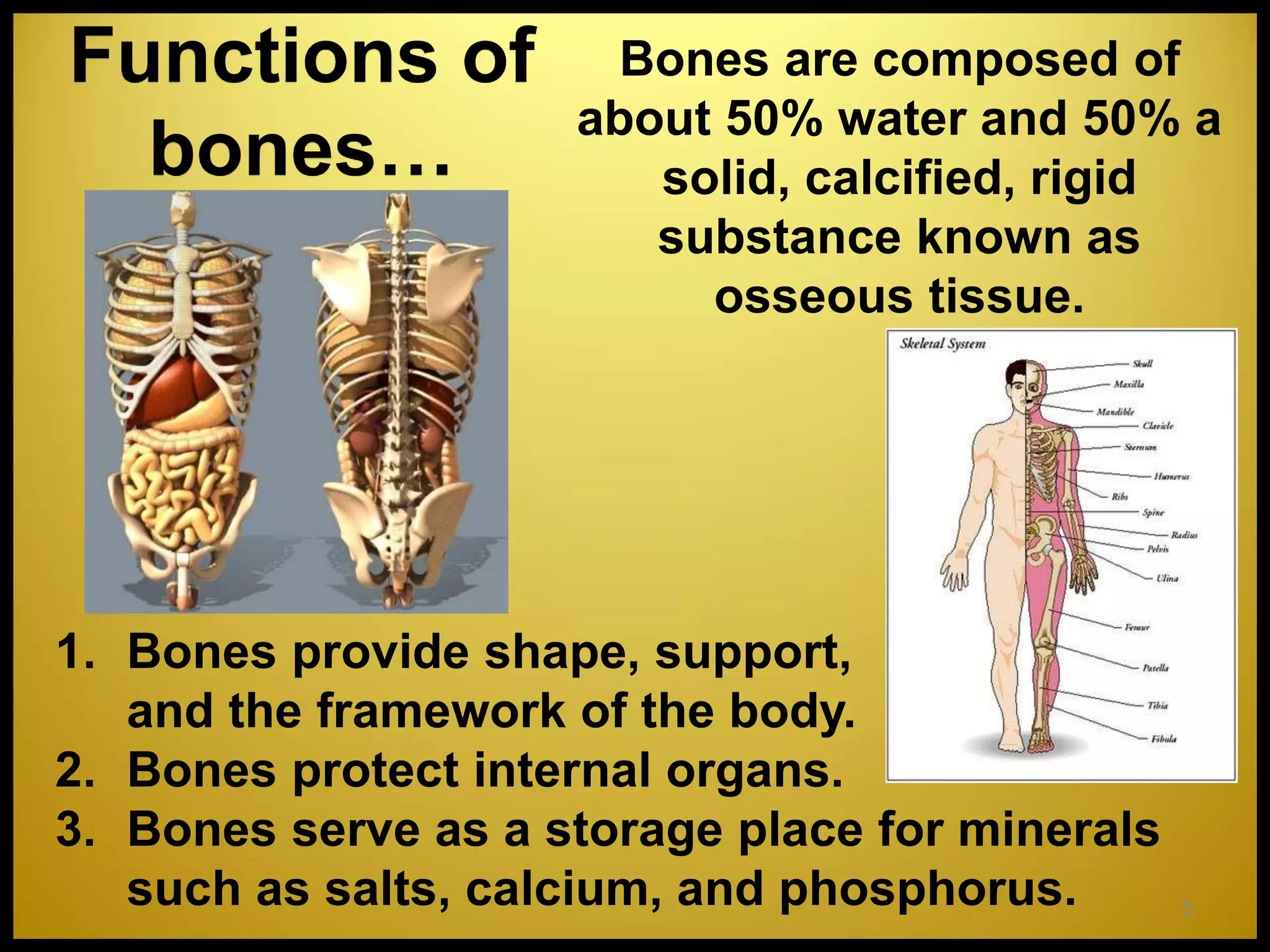 Anatomy of skeletal system.ppt