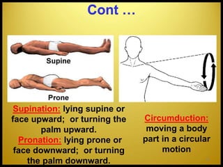 Anatomy of skeletal system.ppt