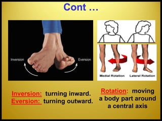 Anatomy of skeletal system.ppt