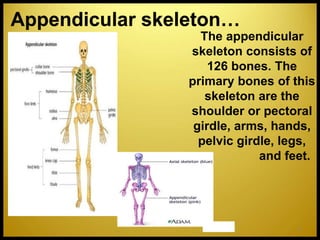 Anatomy of skeletal system.ppt