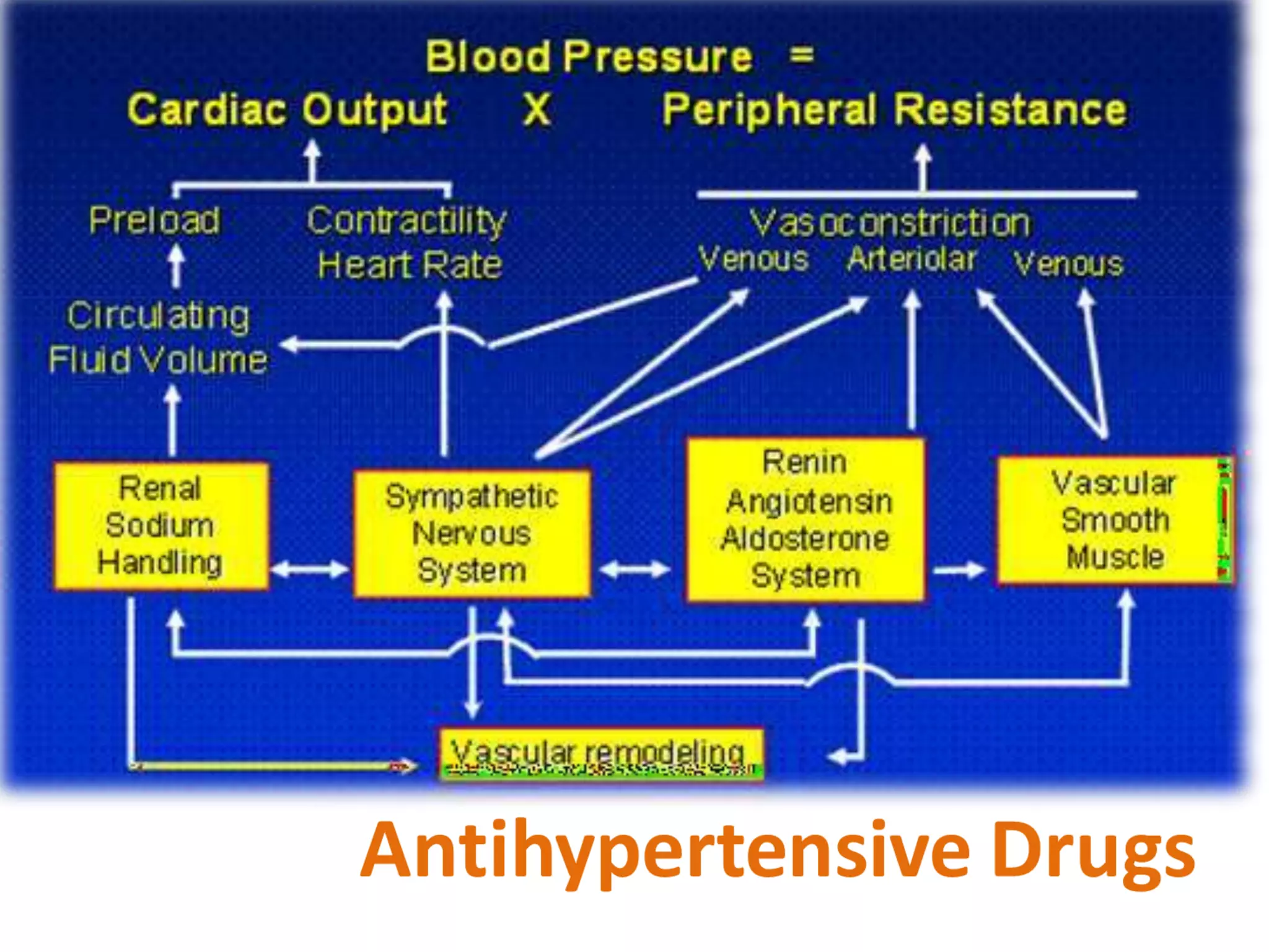 Anti hypertensive drugs.pptx