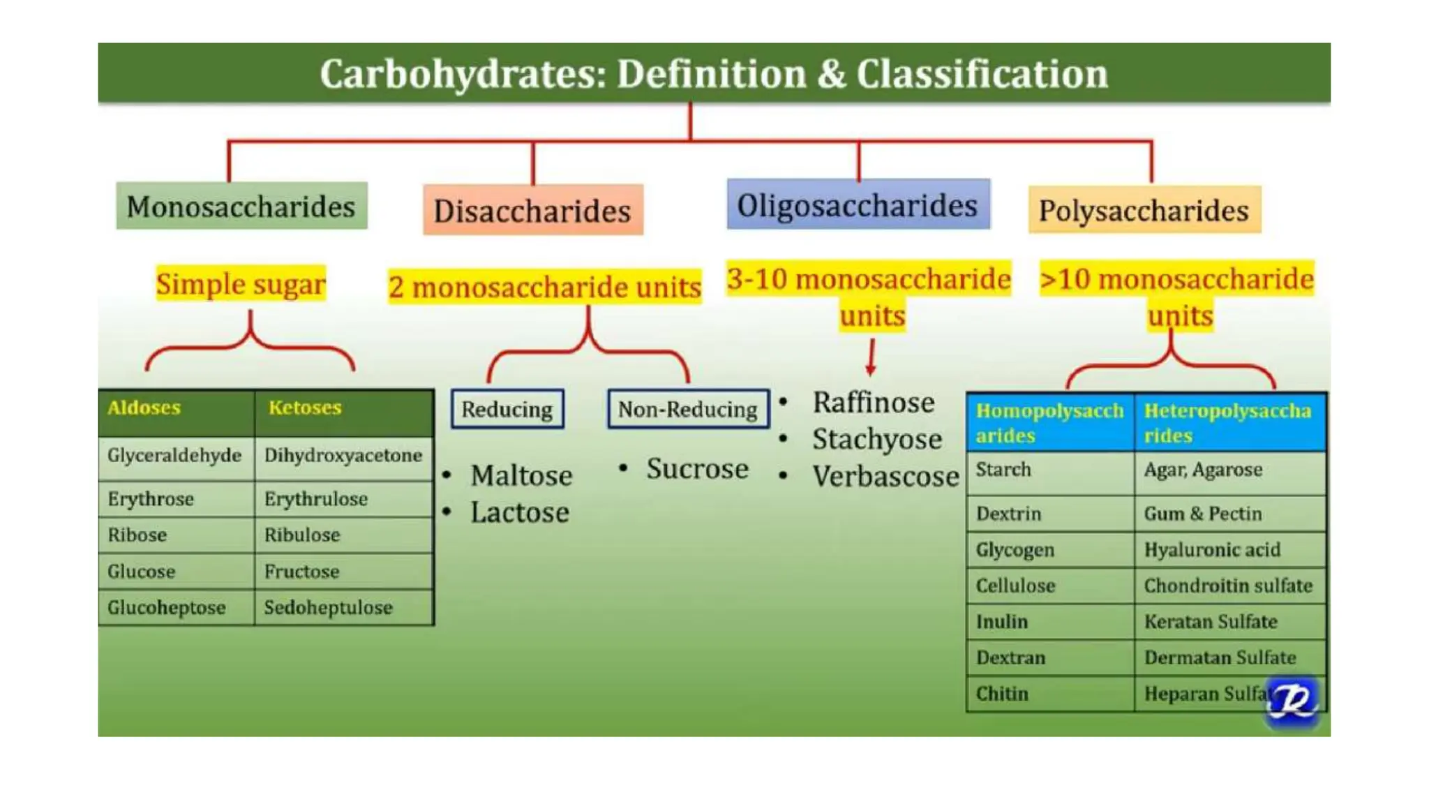 Lec 1 - History of biochemistry and classification of CHO.pptx