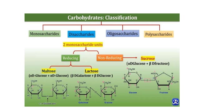 Lec 1 - History of biochemistry and classification of CHO.pptx