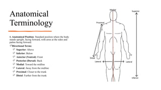 Lec#1-Introduction to Anatomical Terms and Tissues.pptx