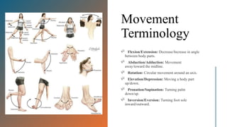 Lec#1-Introduction to Anatomical Terms and Tissues.pptx