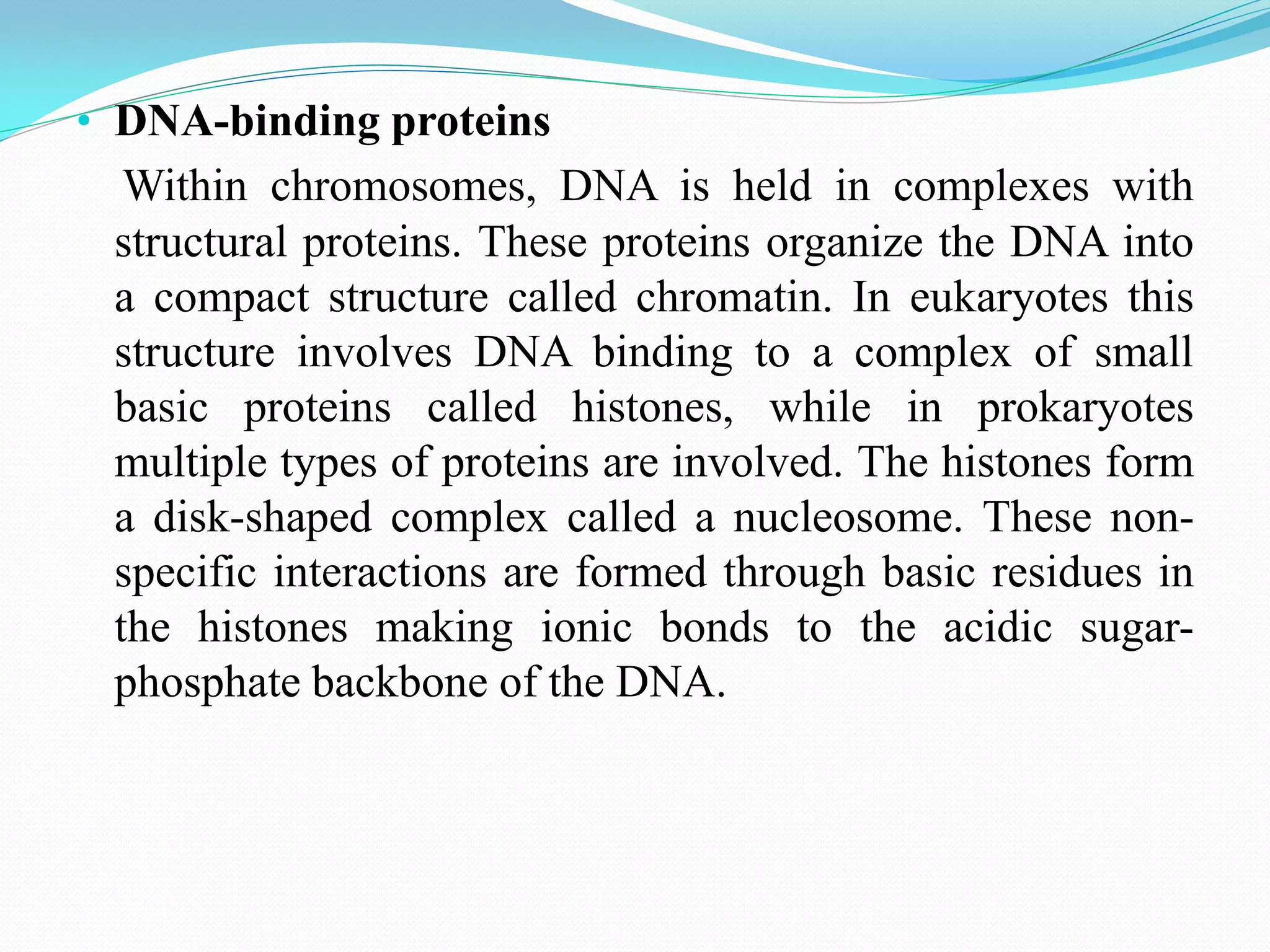 Lec 1 introduction to molecular biology | PDF | Biological Sciences ...
