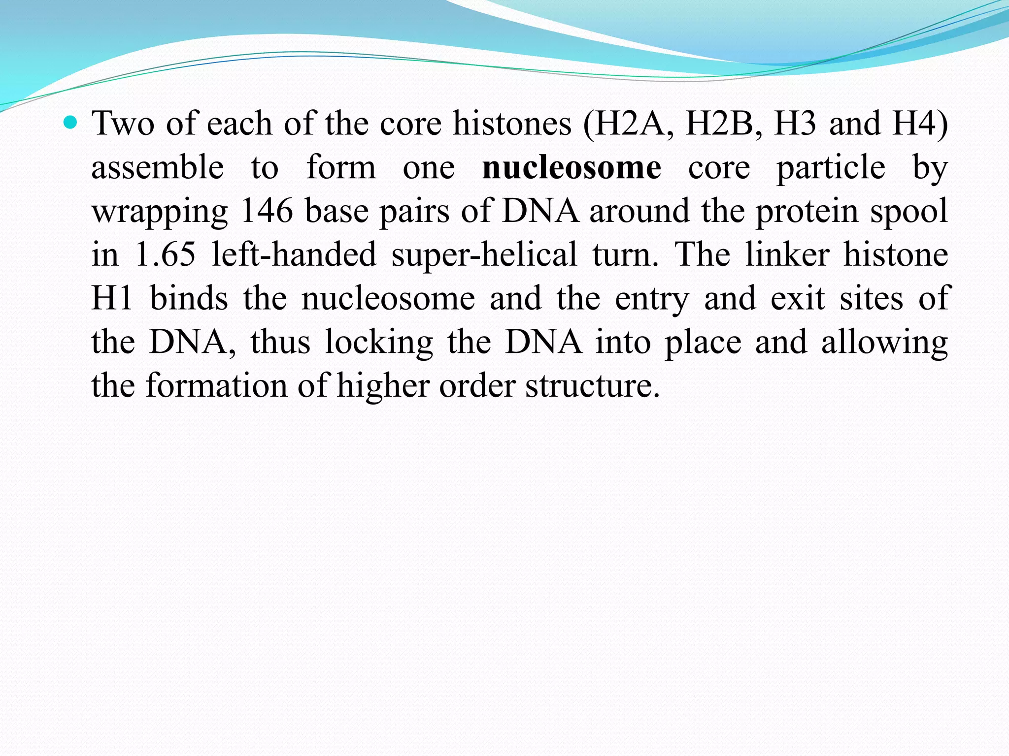 Lec 1 introduction to molecular biology | PDF