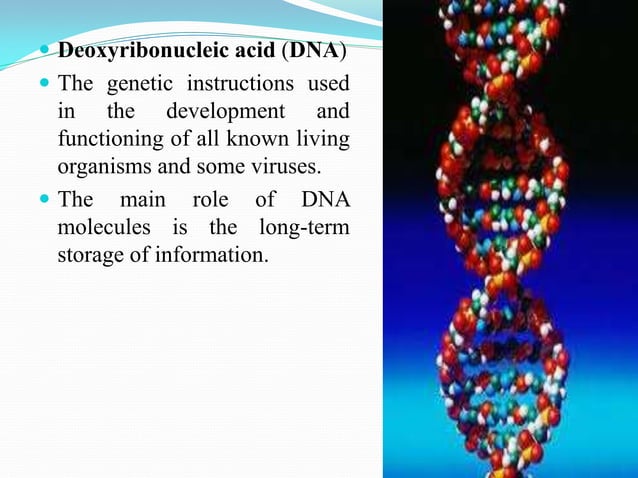 Lec 1 introduction to molecular biology | PDF | Biological Sciences ...