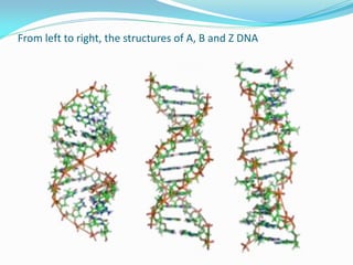 Lec 1 introduction to molecular biology | PDF
