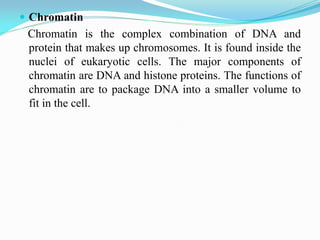 Lec 1 introduction to molecular biology | PDF