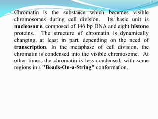Lec 1 introduction to molecular biology | PDF