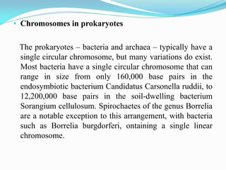 Lec 1 introduction to molecular biology | PDF