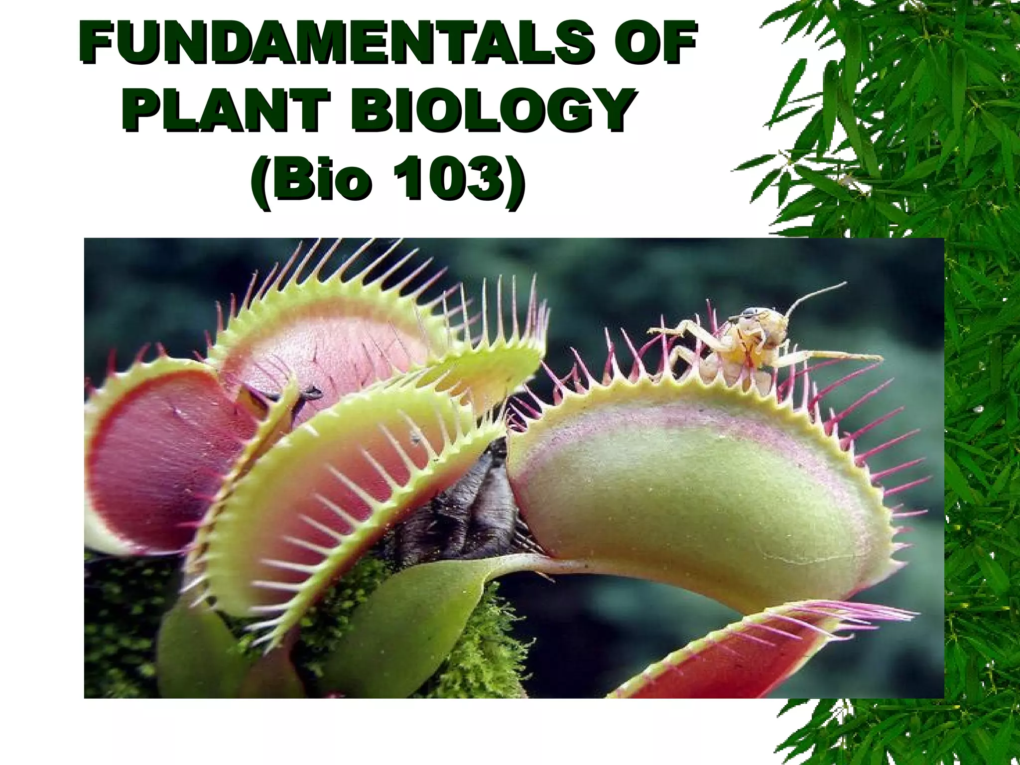 Lec 1 intro to botany | PPT