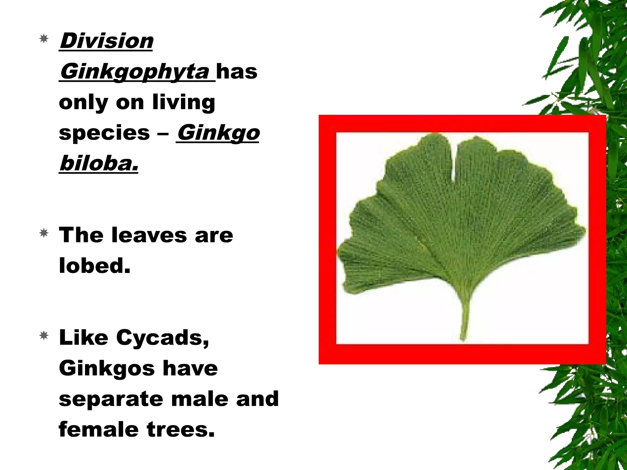 Lec 1 intro to botany | PPT