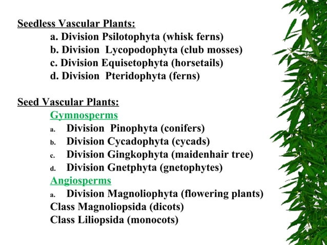 Lec 1 intro to botany | PPT