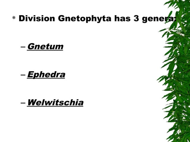 Lec 1 intro to botany | PPT